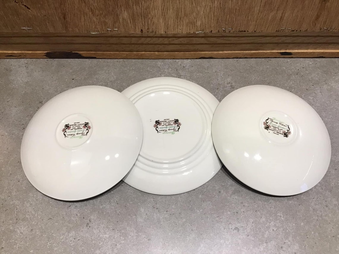 3 Vintage Myott Meakin Pottery Plates Exotic Garden Pattern - Etsy
