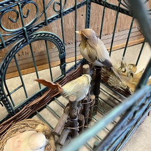 Metal Bird Cage With 3 Faux Birds , Decorative Bird Cage, Kitchen Decor ...