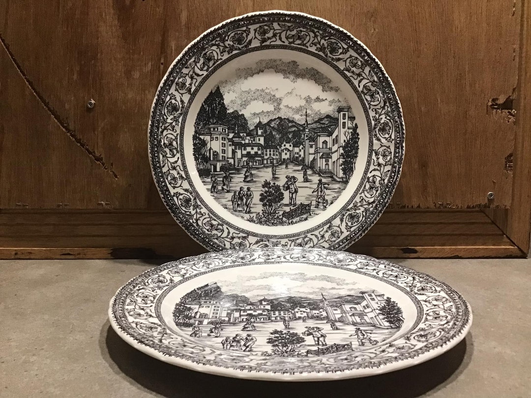 2 Corona Colombia Dinner Plates Microwave Safe Very Well Made and Eye ...