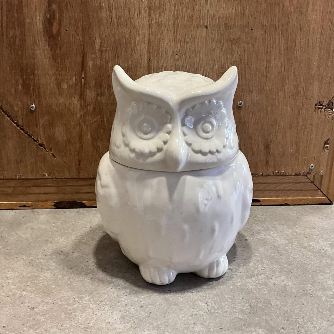 White Ceramic Owl Cookie Jar, Farmhouse Kitchen Decor - Etsy
