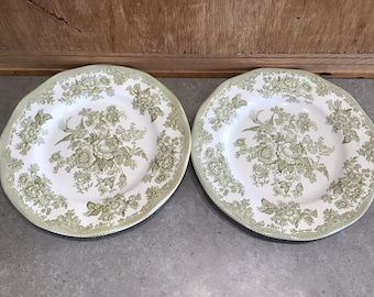 Light Green Dinner Plates - Etsy