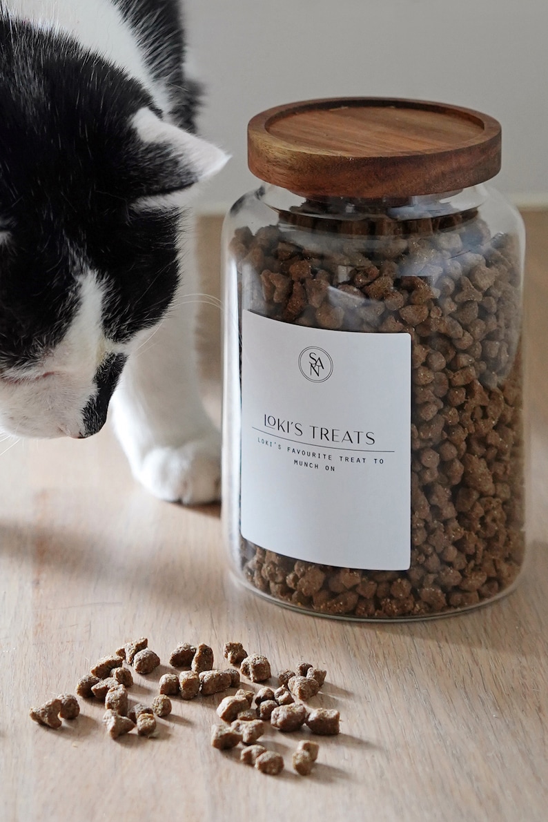 Custom Pet Food Jar: 2.0L Glass Container With Acacia Wood Lid - Etsy