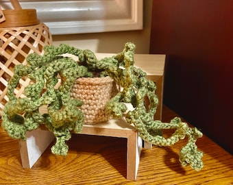 Crochet Plant Decor, String of Pearls, Crochet Succulent - Etsy