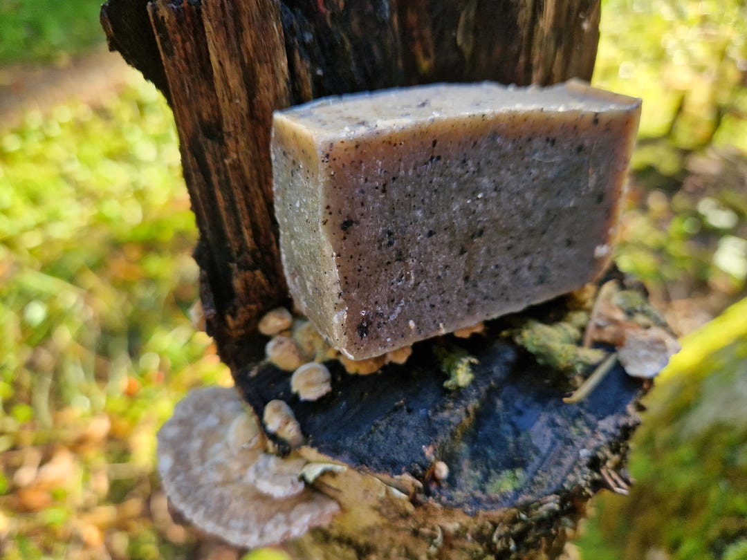 Pakurikääpäsaippua/ Chaga Mushroom Soap, Käsintehty Saippua, Handmade ...