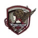 Ghosts Razgriz Flying Ace Air Command Patch - Etsy