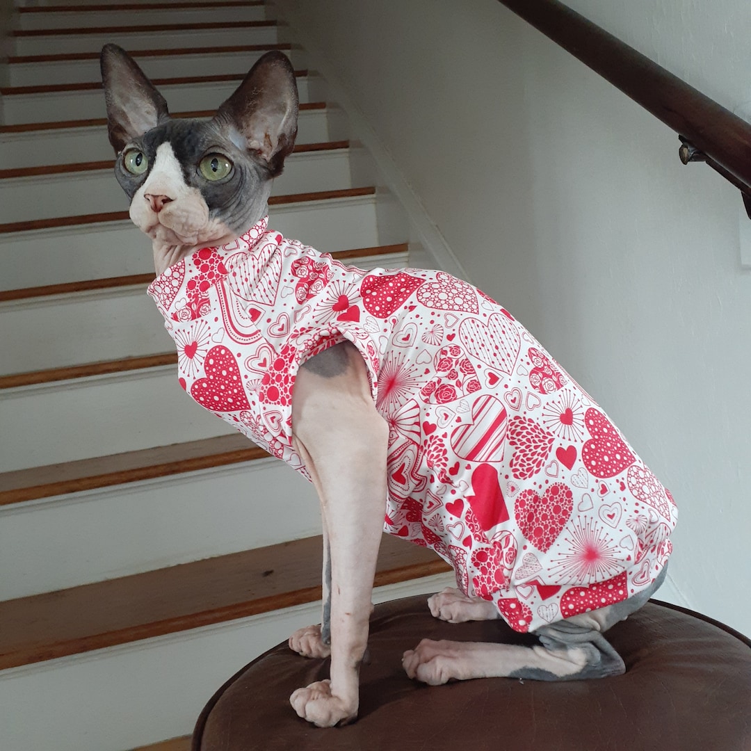 Sphynx Cat Clothes Hairless Cat Shirt Valentine's Day Outfit - Etsy