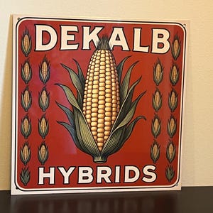Dekalb Corn Hybrid Dealer Vintage Style Aluminum Sign - Etsy