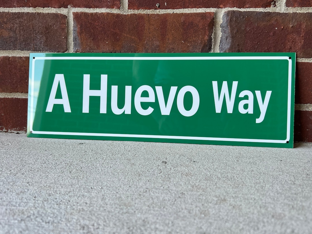 A Huevo Way Mexico Slang Funny Garage Street Sign Aluminum - Etsy