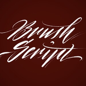 Pointed Scroll Calligraphy Procreate Brushes - Etsy