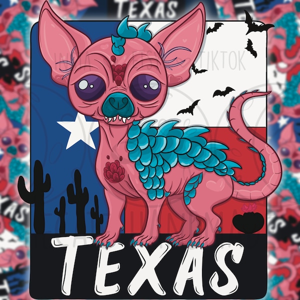 Texas State Parks Stickers - Etsy