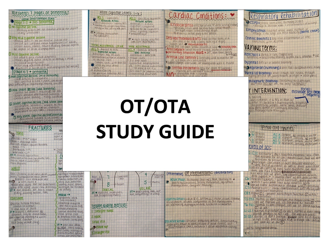 OT/ OTA Study Packet - Etsy