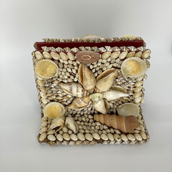 Sea Shell Napkin Holder - Etsy