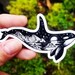 PNW Mountain Orca Killer Whale Magnet | Orca Lover Gifts | Whale Magnet ...