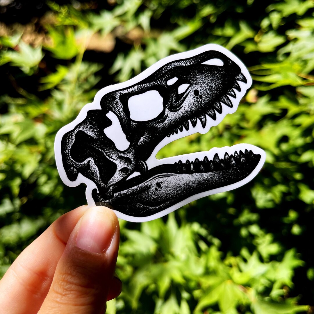 Dinosaur Sticker | T-rex Skull Decal | Dinosaur Skeleton Sticker ...