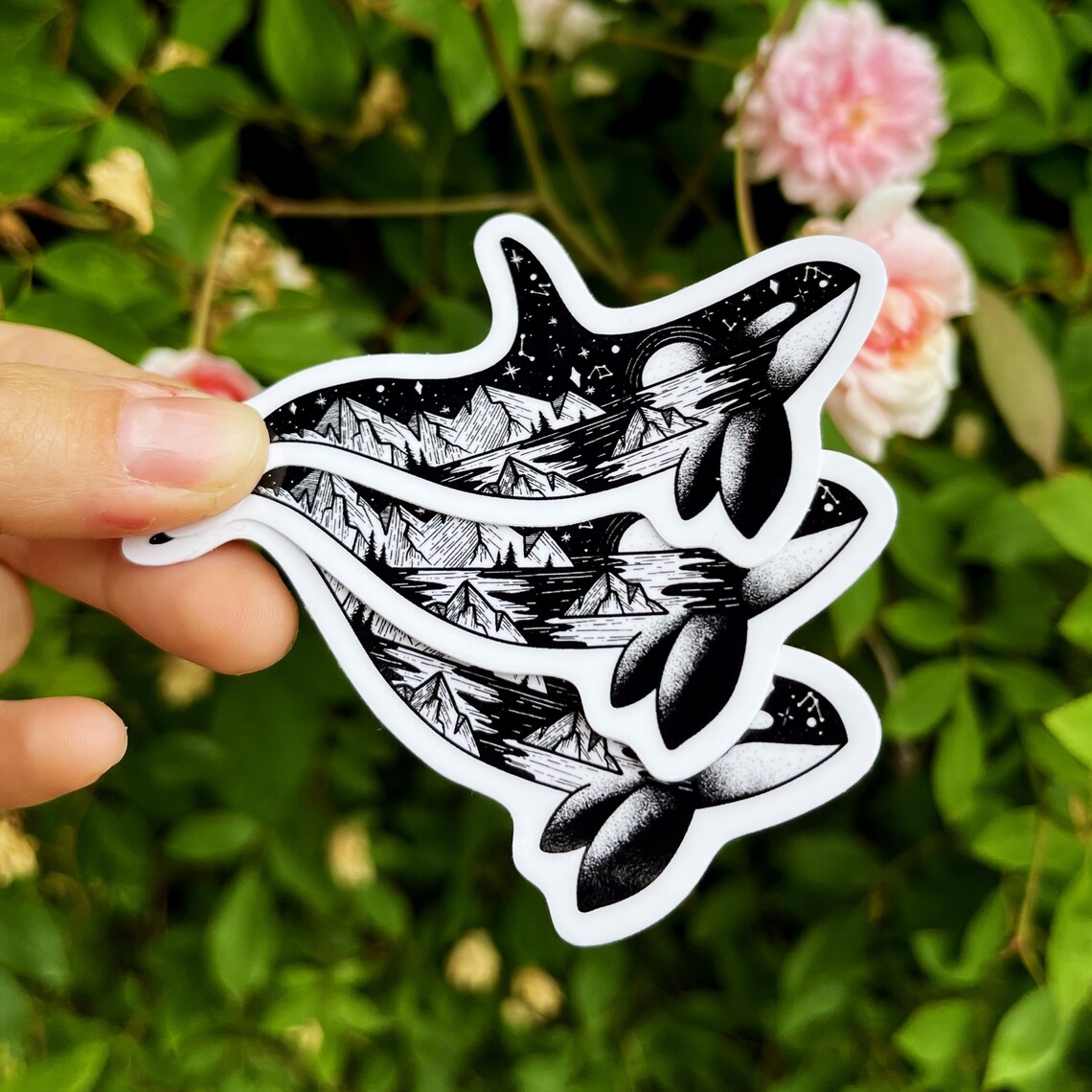 PNW Orca Whale Vinyl Sticker Pack of 3 Die Cut Killer Whale - Etsy