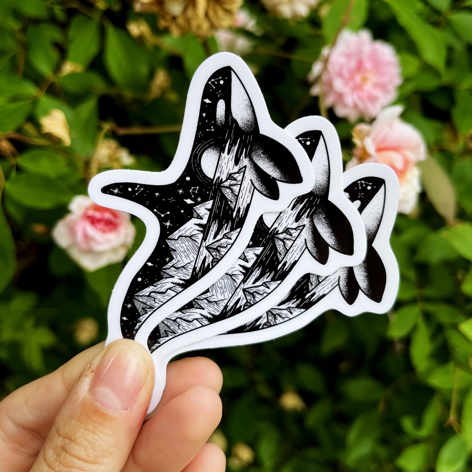 PNW Orca Whale Vinyl Sticker Pack of 3 Die Cut Killer Whale - Etsy