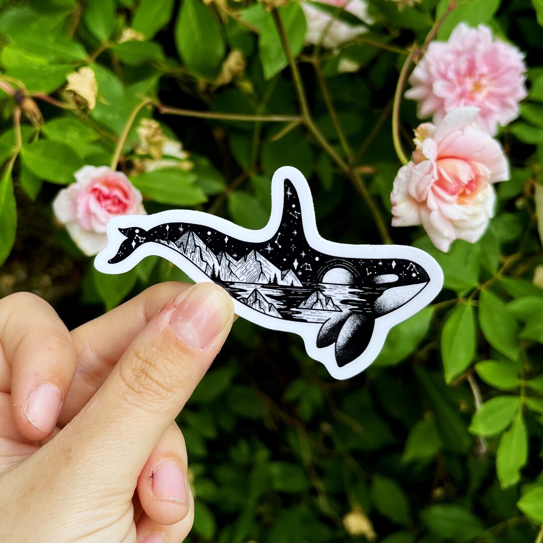PNW Orca Whale Vinyl Sticker Pack of 3 | Die Cut Killer Whale Decal ...