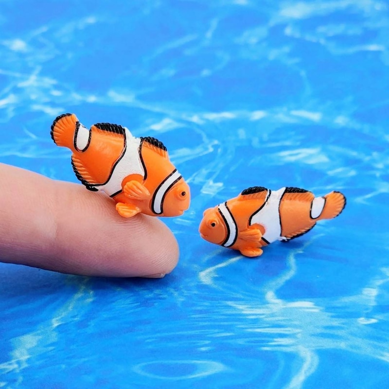 Fish Diorama - Etsy