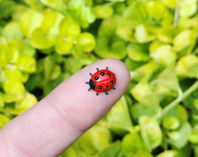 Tiny Ladybug,miniature Ladybugs,dollhouse Miniature,terrarium Supplies ...