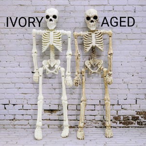 Miniature Posable Skeleton,halloween Miniatures,haunted Dollhouse ...