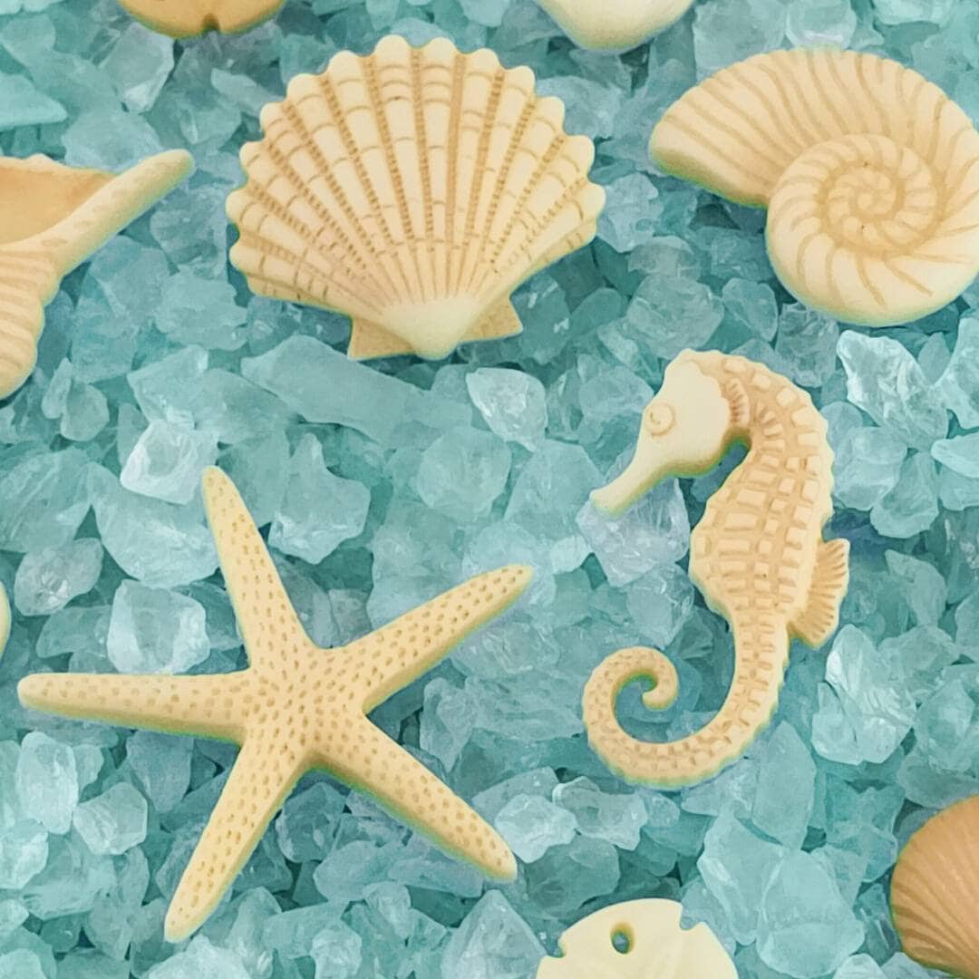 Miniature Shellsminiature Beach Accessoriesbeach - Etsy