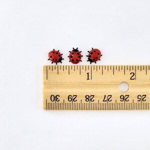 Tiny Ladybug,miniature Ladybugs,dollhouse Miniature,terrarium Supplies ...