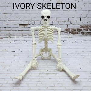 Miniature Posable Skeleton,halloween Miniatures,haunted Dollhouse ...