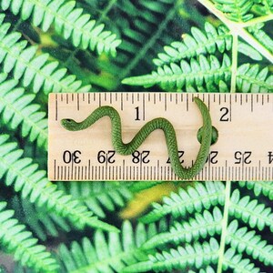 Miniature Snake,micro Snake,terrarium Supplies,diorama,micro Animals ...
