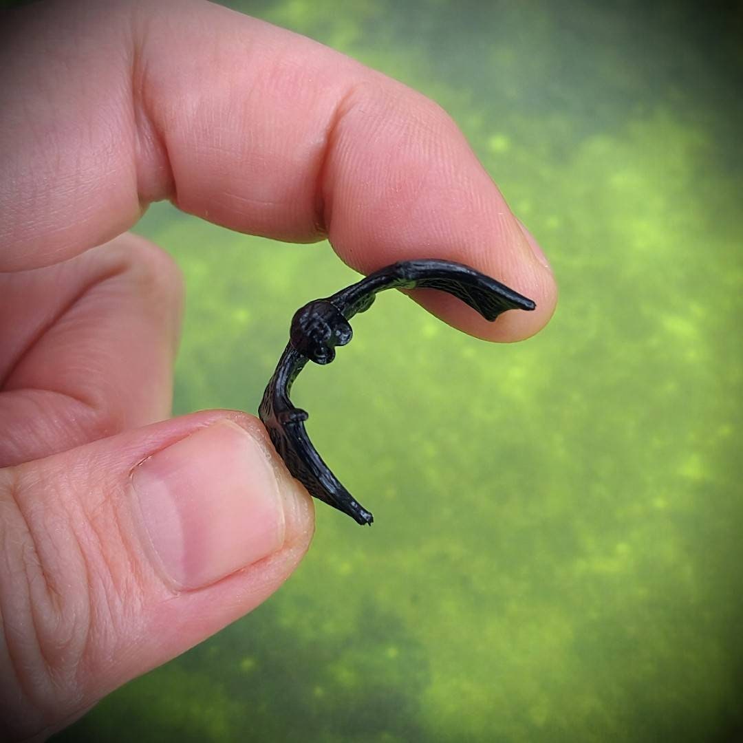 Miniature Bats,1:6 Scale Bats,halloween Miniature Bats,halloween ...