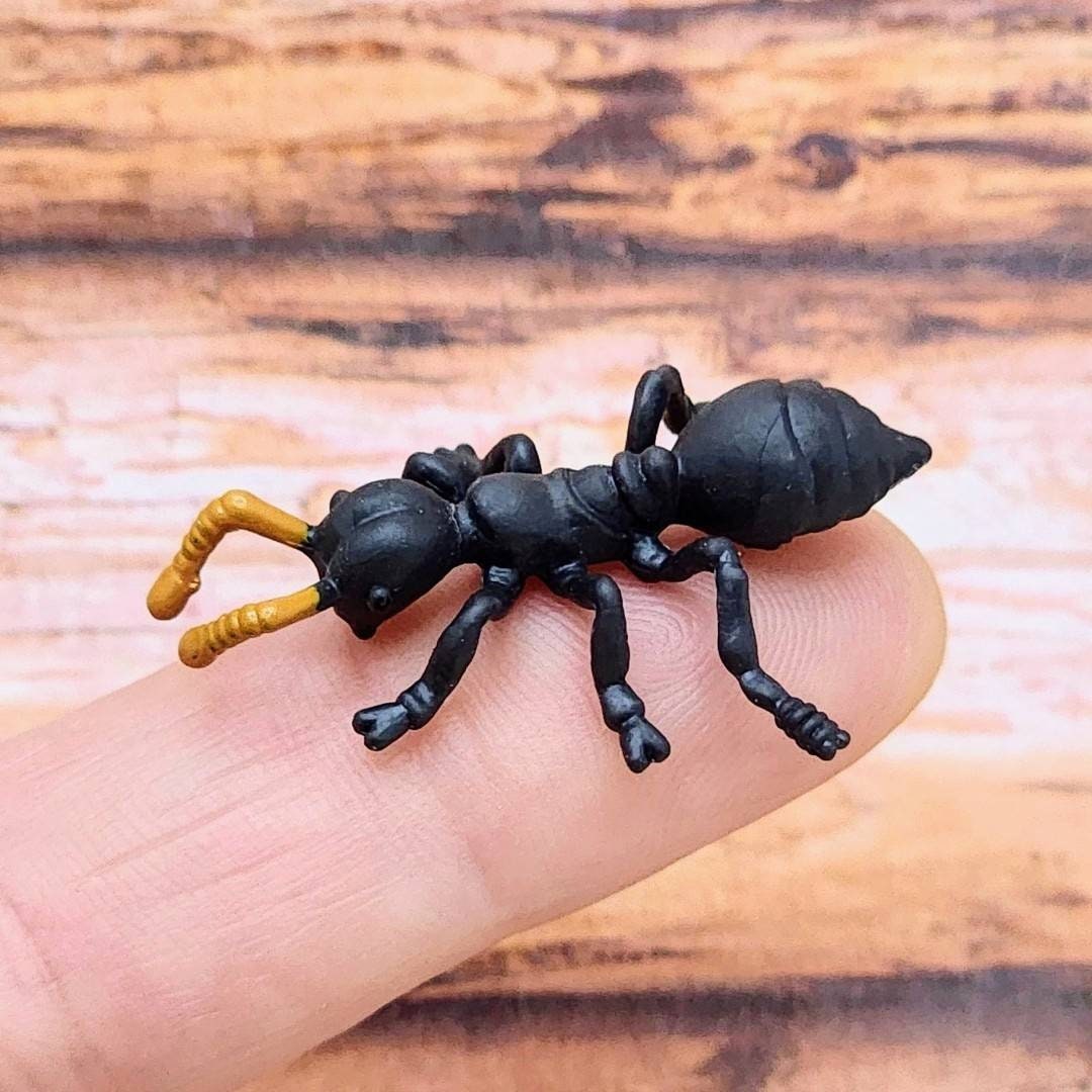 Miniature Ant,tiny Fake Ant,fairy Garden Accessories,terrarium Supplies ...