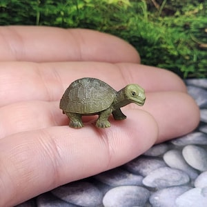 Tiny Tortoise,miniature Turtle,micro Tortoise,terrarium Supplies ...