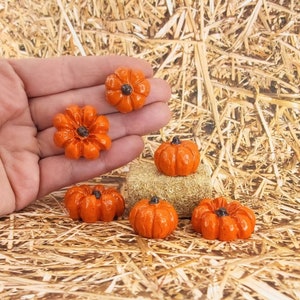 Miniature Pumpkins,fall Miniatures,halloween Miniatures,fairy Garden ...