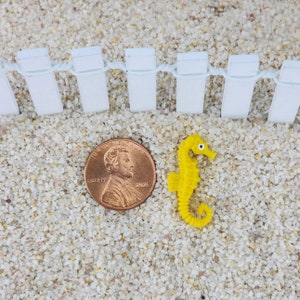 Micro Miniature Seahorse,beach Miniatures,terrarium Supplies, Dollhouse ...