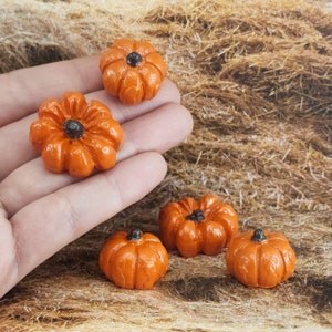 Miniature Pumpkins,fall Miniatures,halloween Miniatures,fairy Garden ...