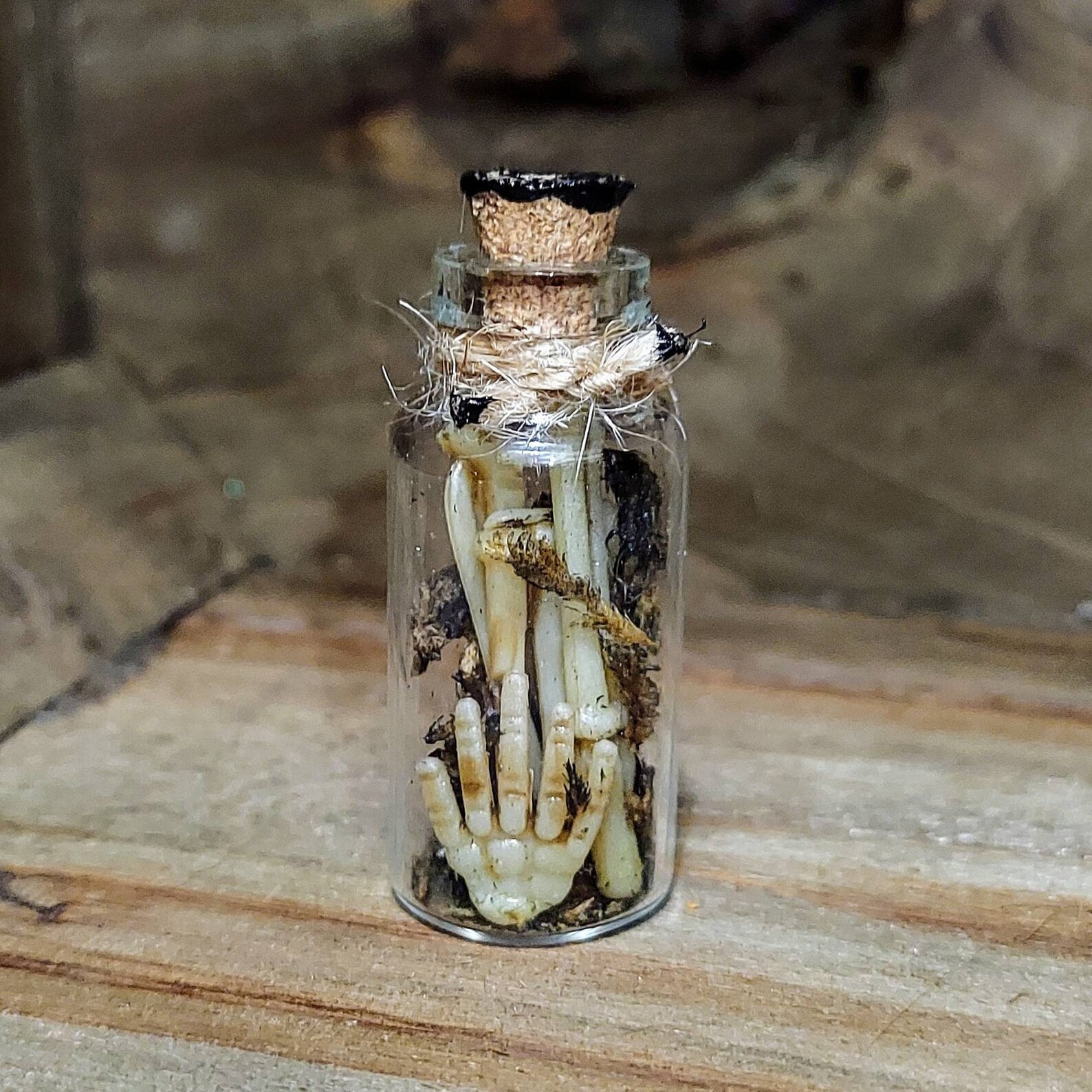 Miniature Rotting Bones in Bottlehalloween - Etsy