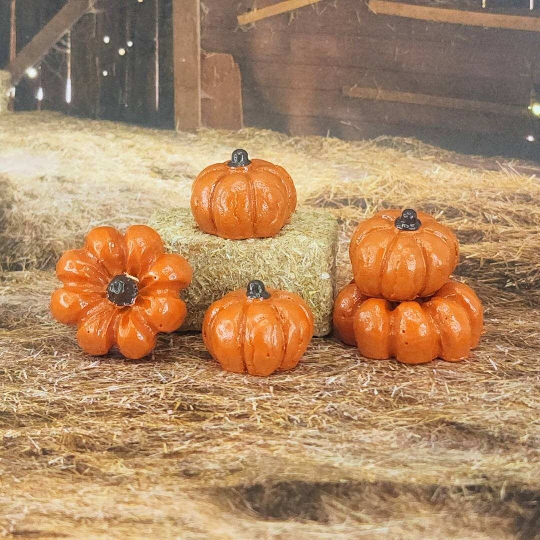 Miniature Pumpkins,fall Miniatures,halloween Miniatures,fairy Garden ...