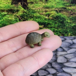 Tiny Tortoise,miniature Turtle,micro Tortoise,terrarium Supplies ...