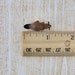 Micro Beaver,miniature Beaver, Diorama,terrarium Supplies,dollhouse ...