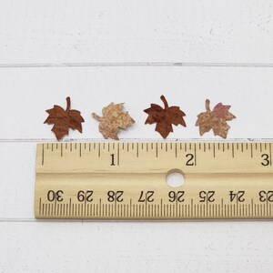 Miniature Maple Leaves,brown,dollhouse Miniature Leaves,1:12 Scale ...