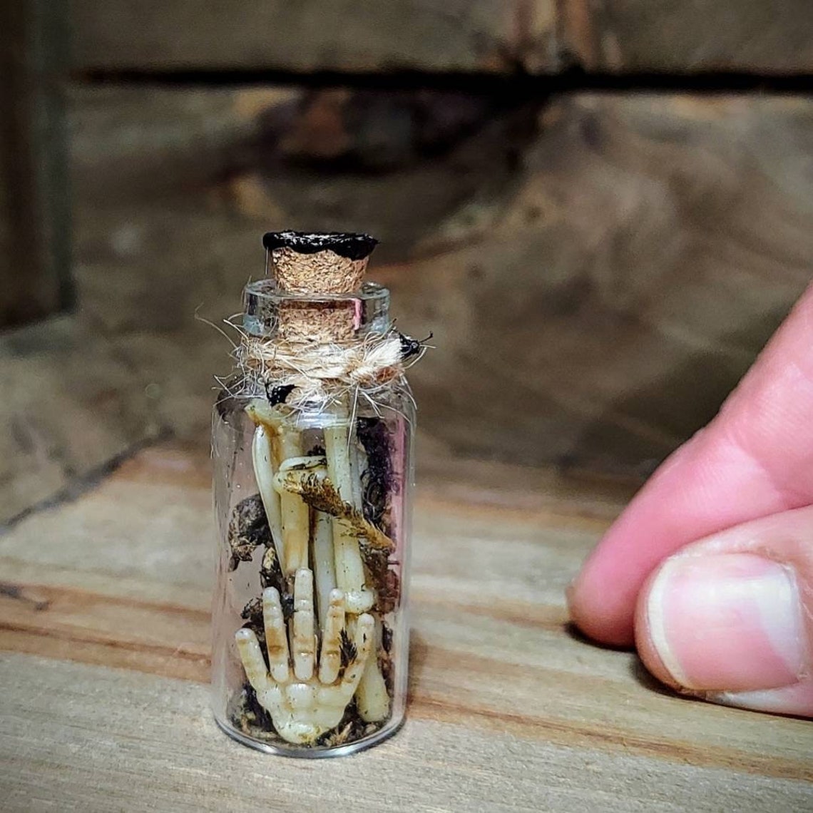 Miniature Rotting Bones in Bottlehalloween | Etsy