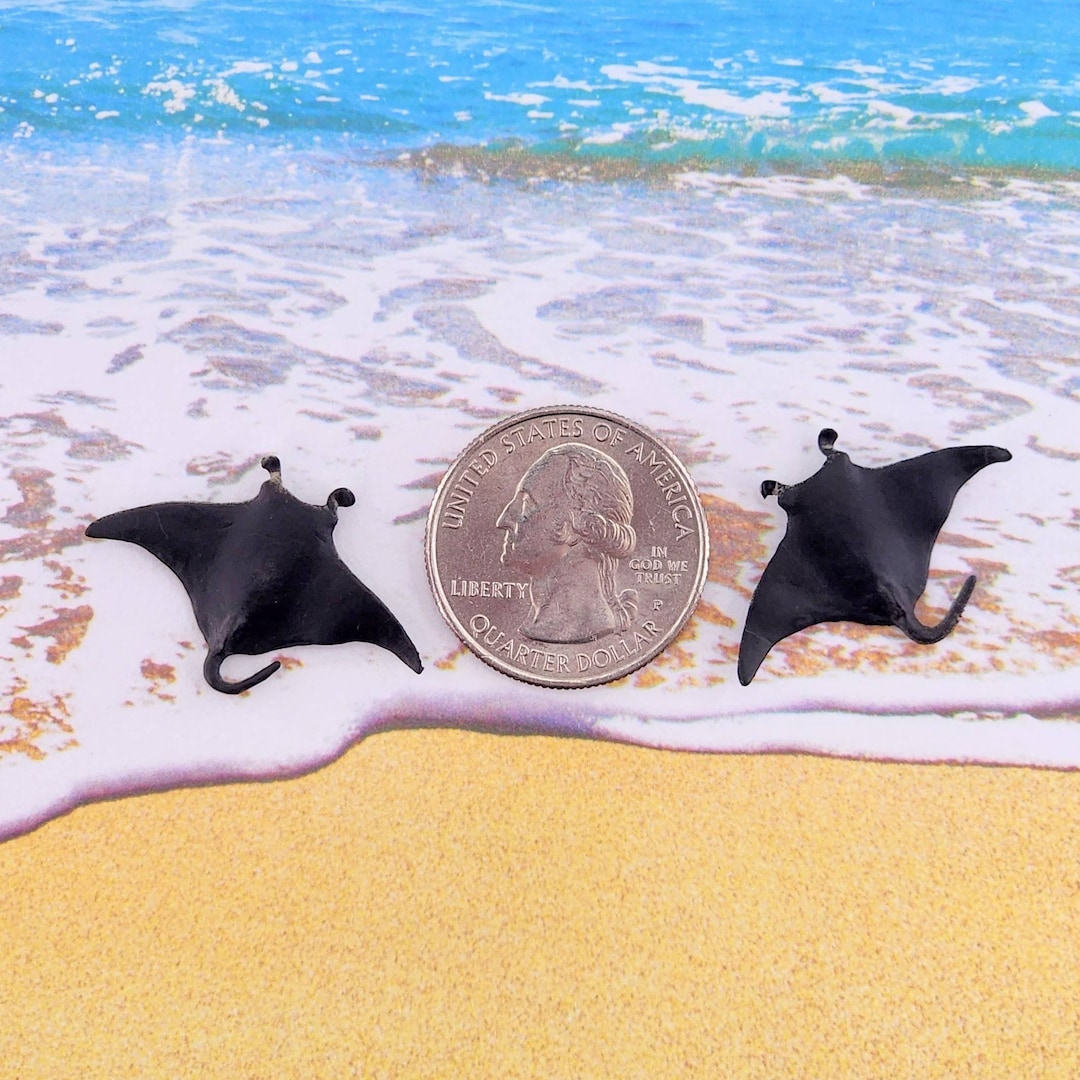 Miniature Stingray,miniature Sea Life,terrarium Supplies,diorama,beach ...