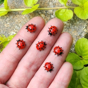 Tiny Ladybug,miniature Ladybugs,dollhouse Miniature,terrarium Supplies ...