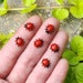 Tiny Ladybug,miniature Ladybugs,dollhouse Miniature,terrarium Supplies ...