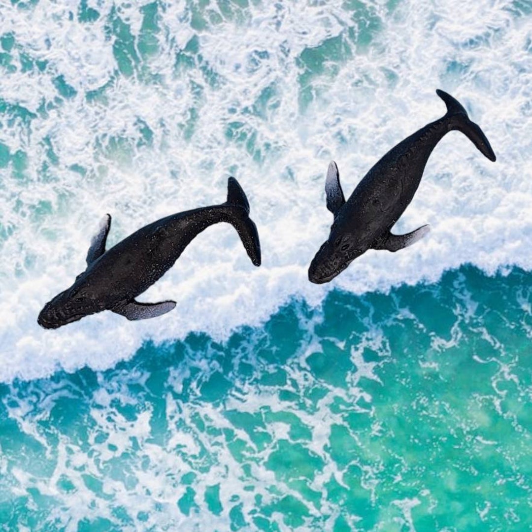 Micro Humpback Whale,tiny Whale Figurine,terrarium Supplies,mini Whale ...