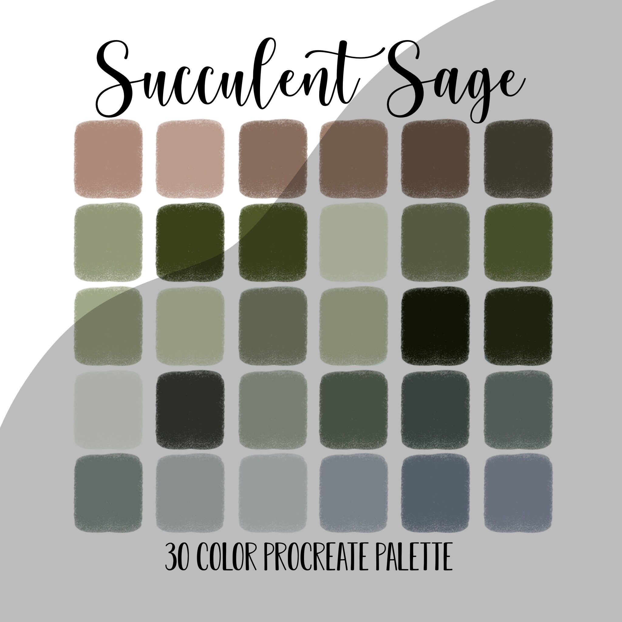 Succulents Sage Procreate Color Palette Hex Codes Included 59 Off