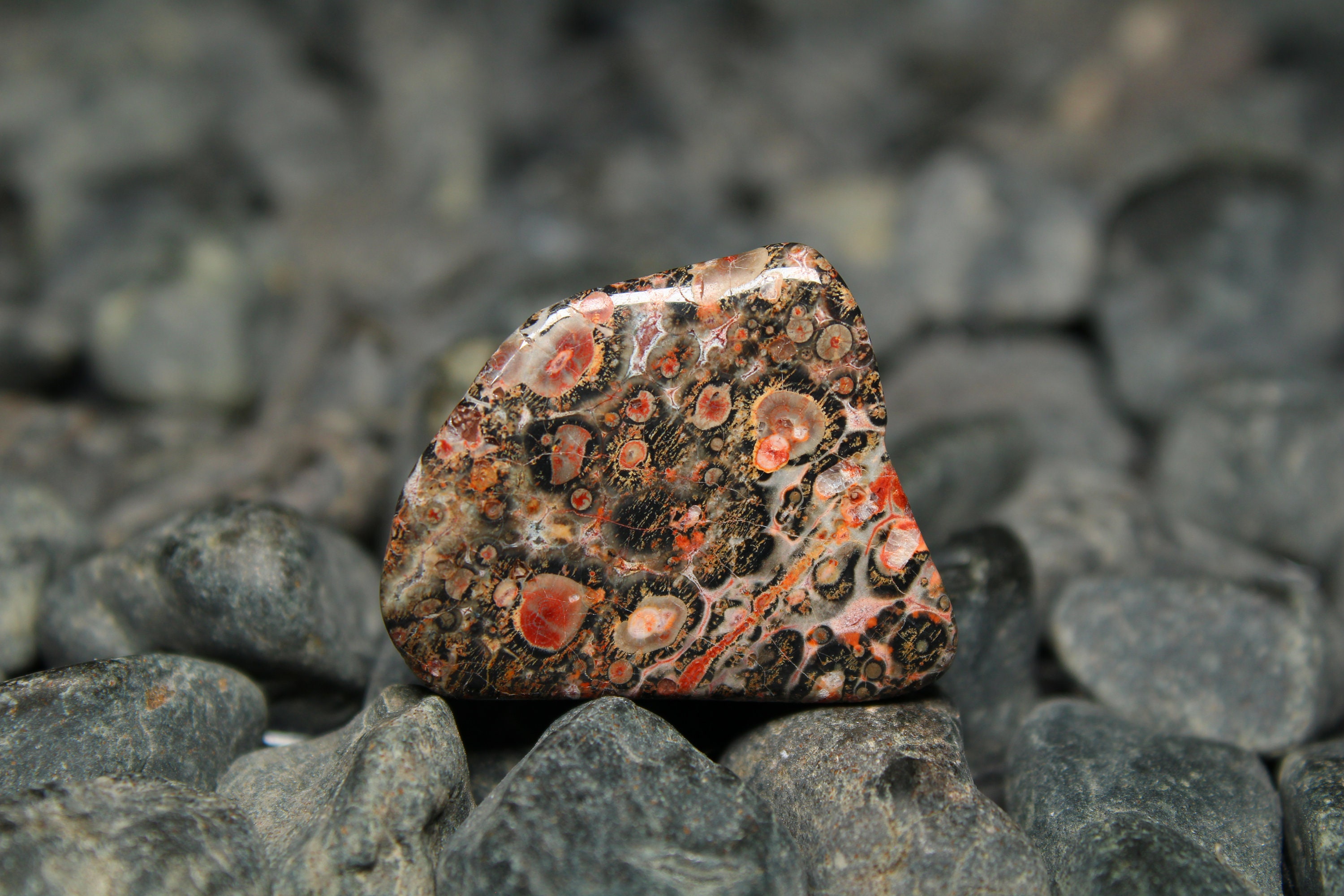 Tumbled Leopard Skin Jasper From the United States - Etsy