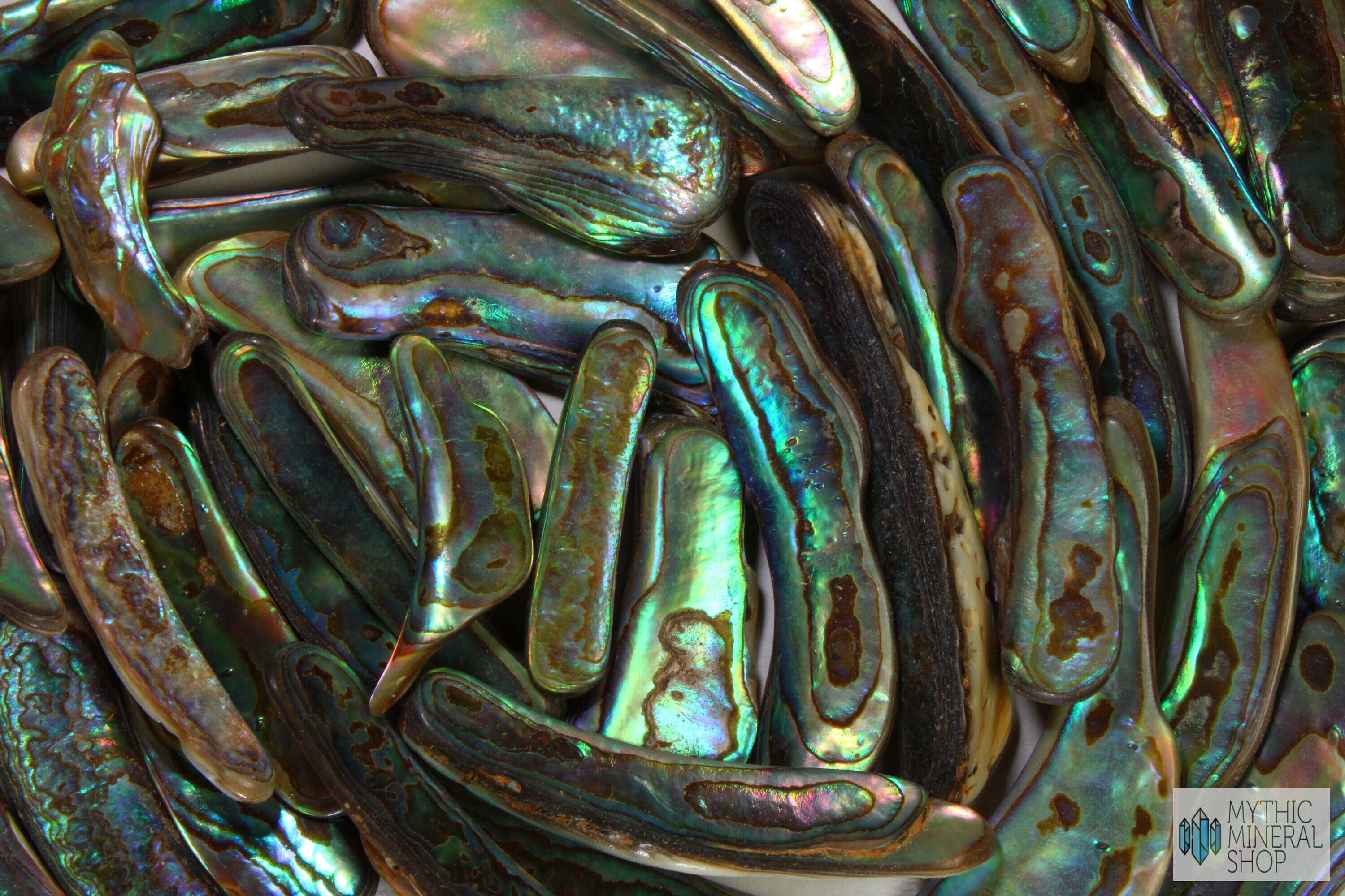 Natural Abalone Shell Vibrant Rainbow Color From New Zealand - Etsy