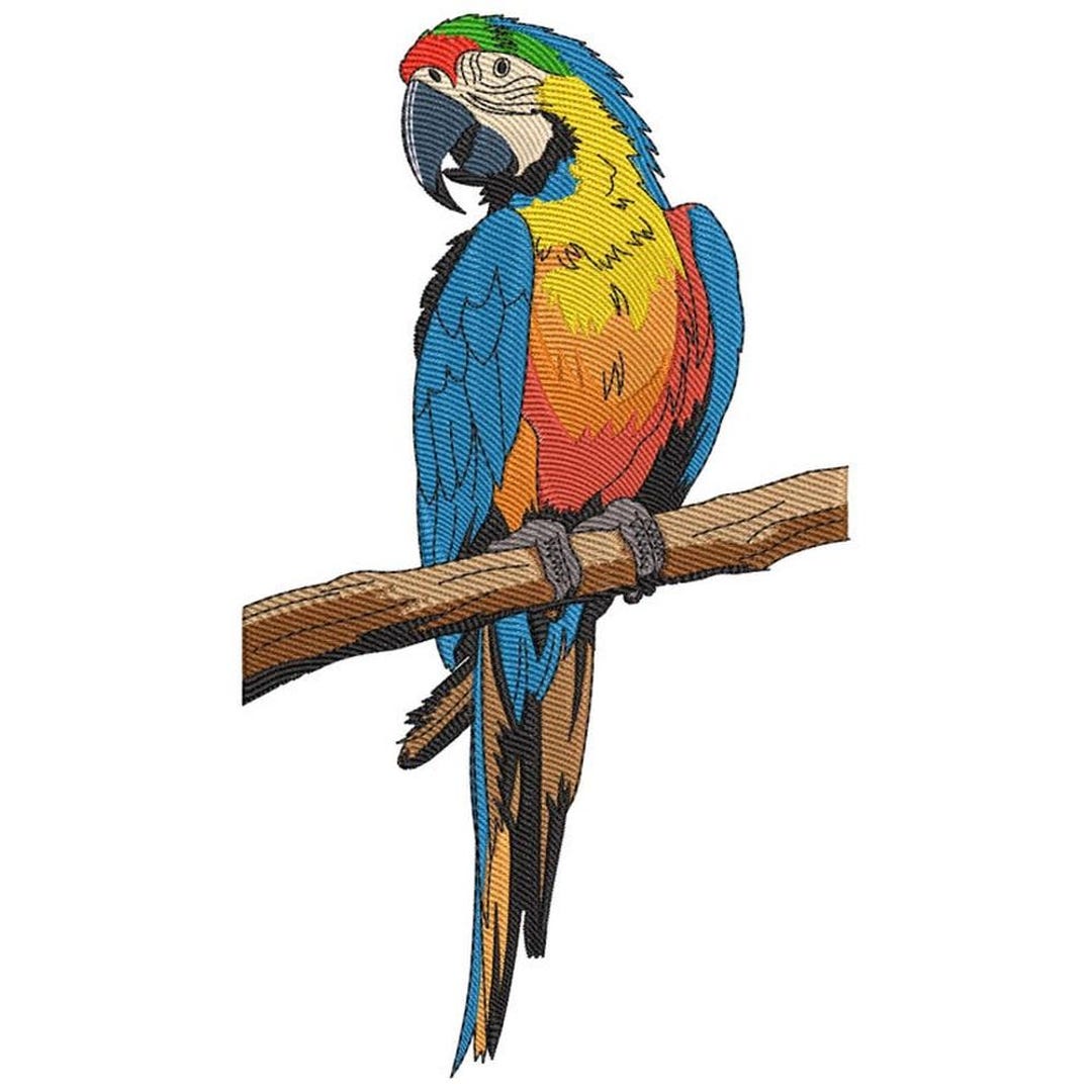 Parrot Machine Embroidery Design, Colorful Macaw Perched on Branch ...