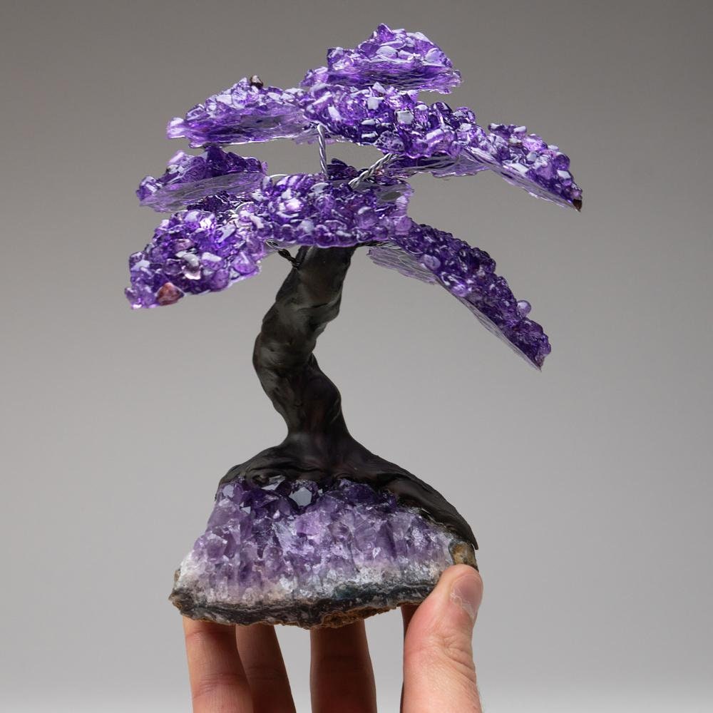 Large Amethyst Clustered Gemstone Tree on Amethyst Matrix the - Etsy