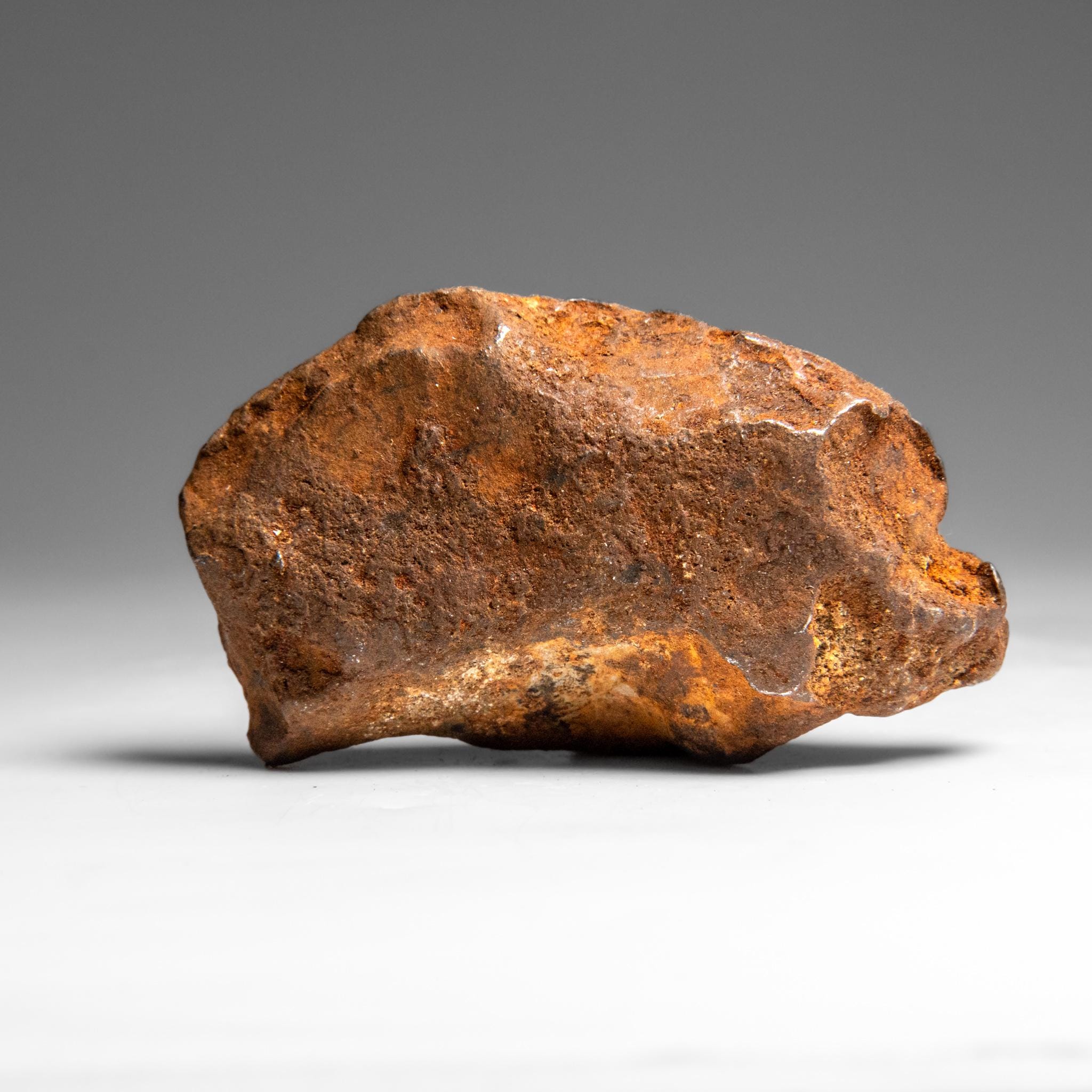 Genuine Gebel Kamil Meteorite From Egypt (242 Grams) - Etsy